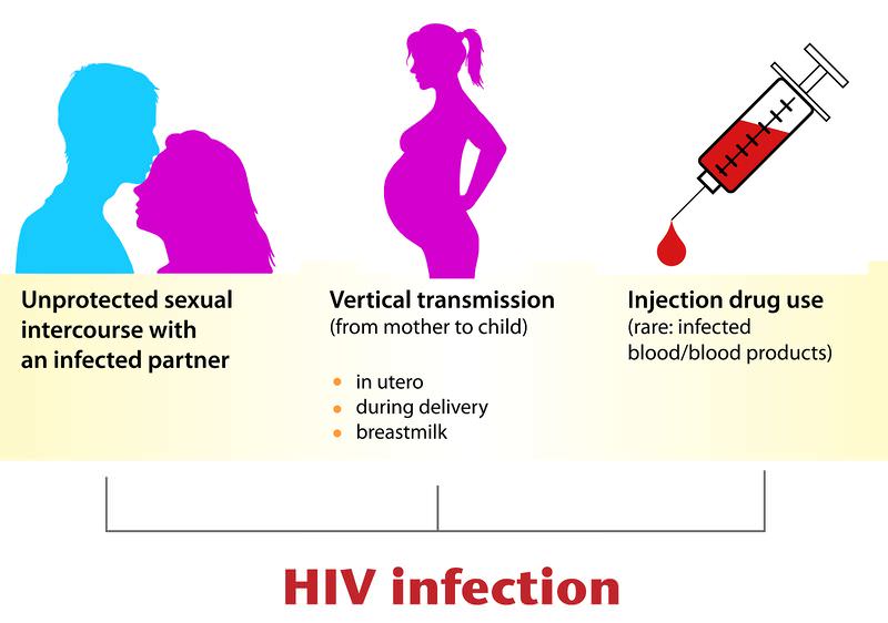 13 57 Hiv And Aids Biology Libretexts