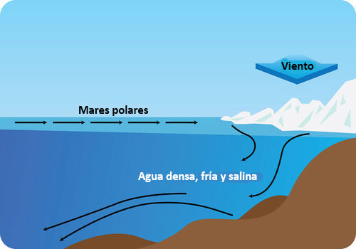 Como Se Producen Las Corrientes Marinas Biwujamapa