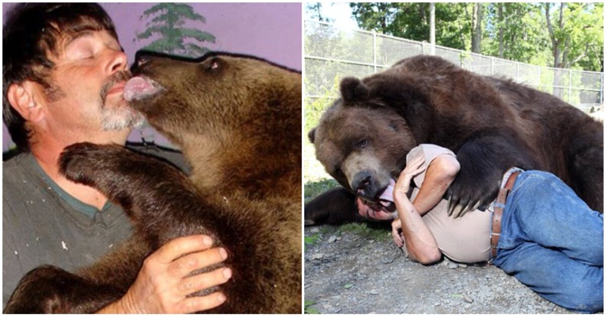 A Man Rescued An Orphaned Bear Cub 21 Years Later Theyre Bond Is