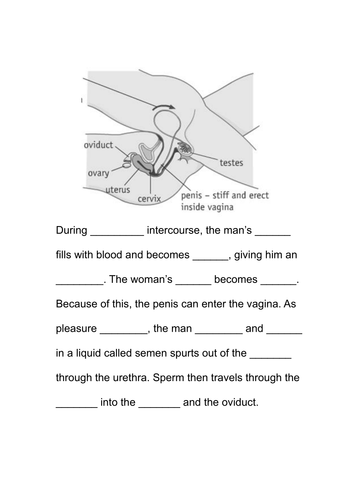 Differentiated Reproductive Organs And Sexual Intercourse Task