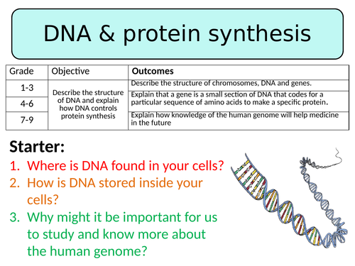 New Aqa Gcse Trilogy 2016 Biology Dna And Protein Synthesis