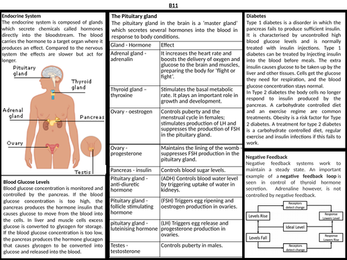 Aqa 9 1 2016 Gcse Biology Separate Science B11 Knowledge Organiser