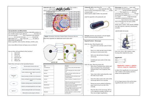 1 Cell Biology Revision Broadsheet Aqa Combined Science Trilogy Gcse