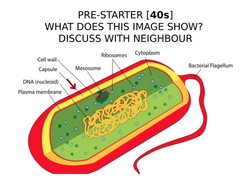 2018 Aqa Gcse Biology Unit 1 B1 Eukaryotic And Prokaryotic Cells L2