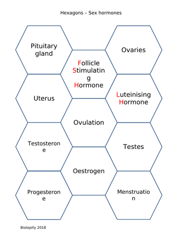 Sex Hormones Solo Hexagons Teaching Resources