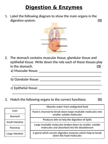 New Aqa Gcse Trilogy 2016 Biology Digestion And Enzymes Homework