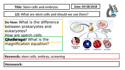 Aqa Gcse Biology New Specification B1 Stem Cells And Embryos