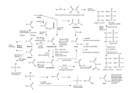 Edexcel 2008 A2 Further Organic Revision Mind Map Teaching Resources