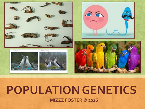 Population Genetics Selection Isolation Speciation Power Point