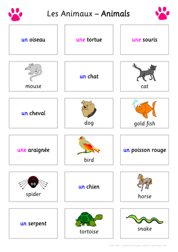 Fun Match Uptranslate Activity Les Animaux Animalspets Ks2 Or