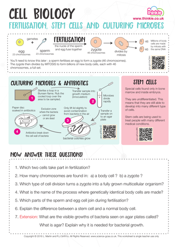 Aqa New Gcse Biology Culturing Microorganisms Microbes Binary