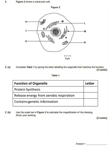 Aqa New Gcse Biology Culturing Microorganisms Microbes Binary