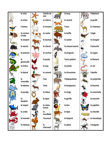 Animaux Animals In French Desk Mat Teaching Resources