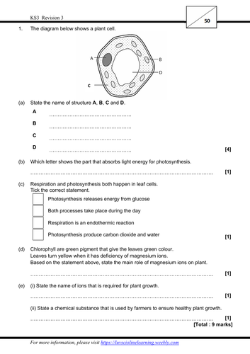 Revision 3 Exam Style Questions Ks3 Year 9 Igcse Teaching Resources