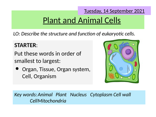 Aqa Plant And Animal Cells Teaching Resources