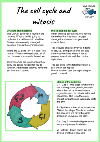 Aqa Gcse Biology Cell Cycle And Mitosis Revision Sheet Teaching Resources