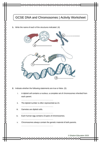 Gcse Biology Dna And Chromosomes Activity Worksheet Teaching Resources