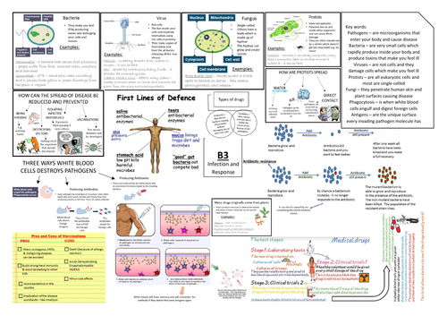 Aqa Gcse Biology 9 1 B3 Double Science Revision Summary Sheets