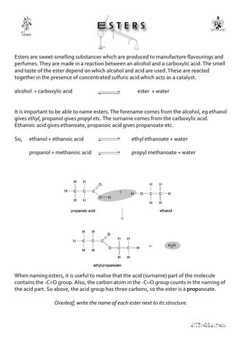 Esters Worksheet Teaching Resources