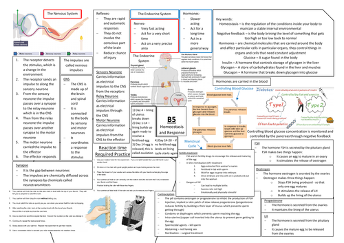 Aqa Gcse Biology 9 1 B5 Double Science Revision Summary Sheets