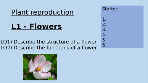 Ks3 Plant Reproduction Lessons Teaching Resources