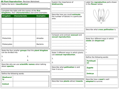 Exploring Science 8b Revision Worksheet Plant Reproduction Teaching