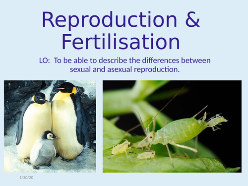 Sexual And Asexual Reproduction Teaching Resources