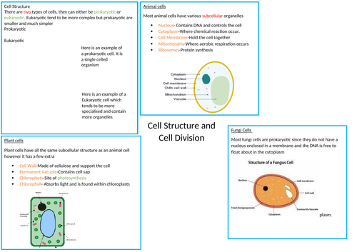 Aqa Gcse Biology 9 1 Cell Structure And Cell Division A4 Revision