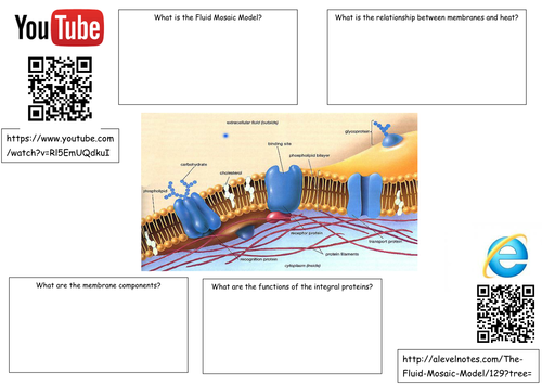 Aqa As Biology Plasma Membrane Fluid Mosaic Model Teaching Resources