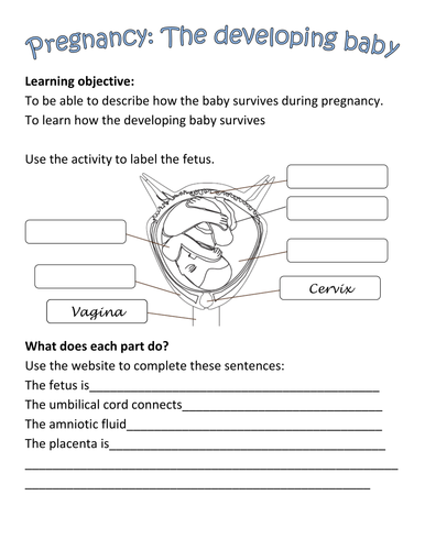 Printable Pregnancy Worksheets