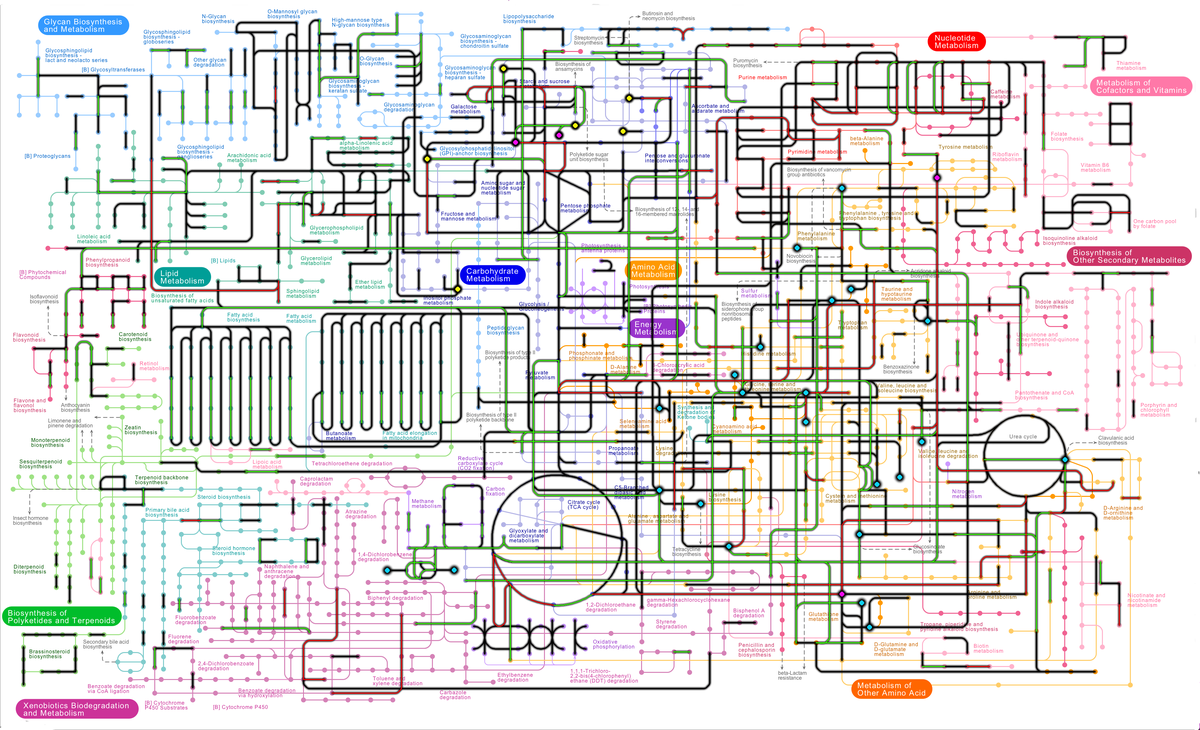 Graphs Brilliant Math And Science Wiki