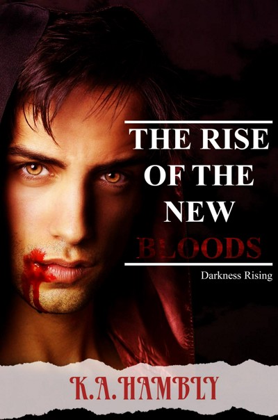 Smashwords Darkness Rising A Book By Ka Hambly