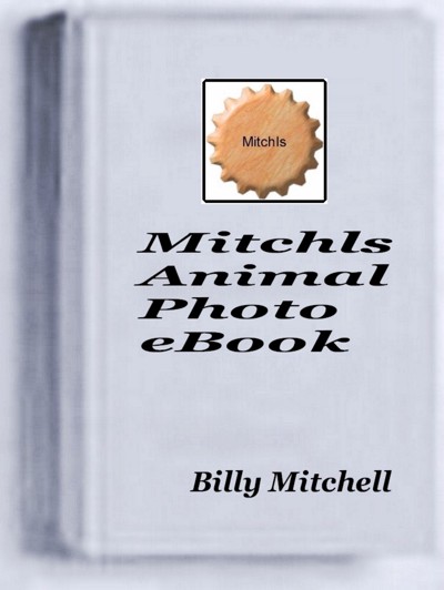 Smashwords Mitchls Animal Photo Book A Book By Billy Mitchell