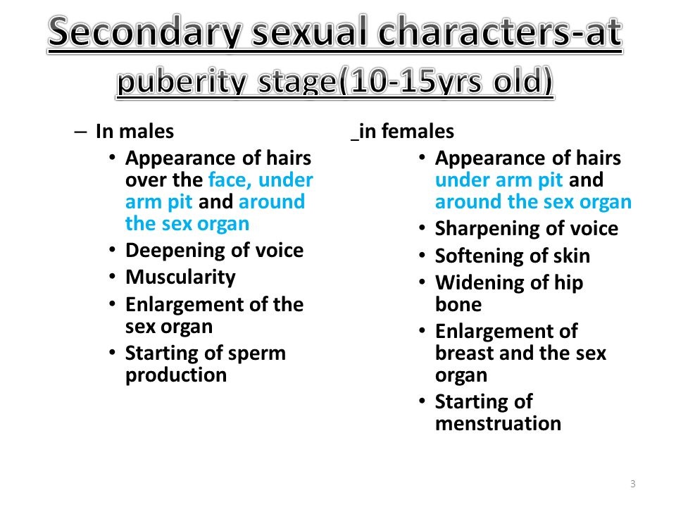 What Are Secondary Sexual Characterlist The Secondary Sexual