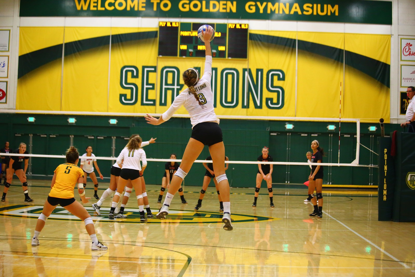 Brianna Sizemore Womens Volleyball Plnu Athletics