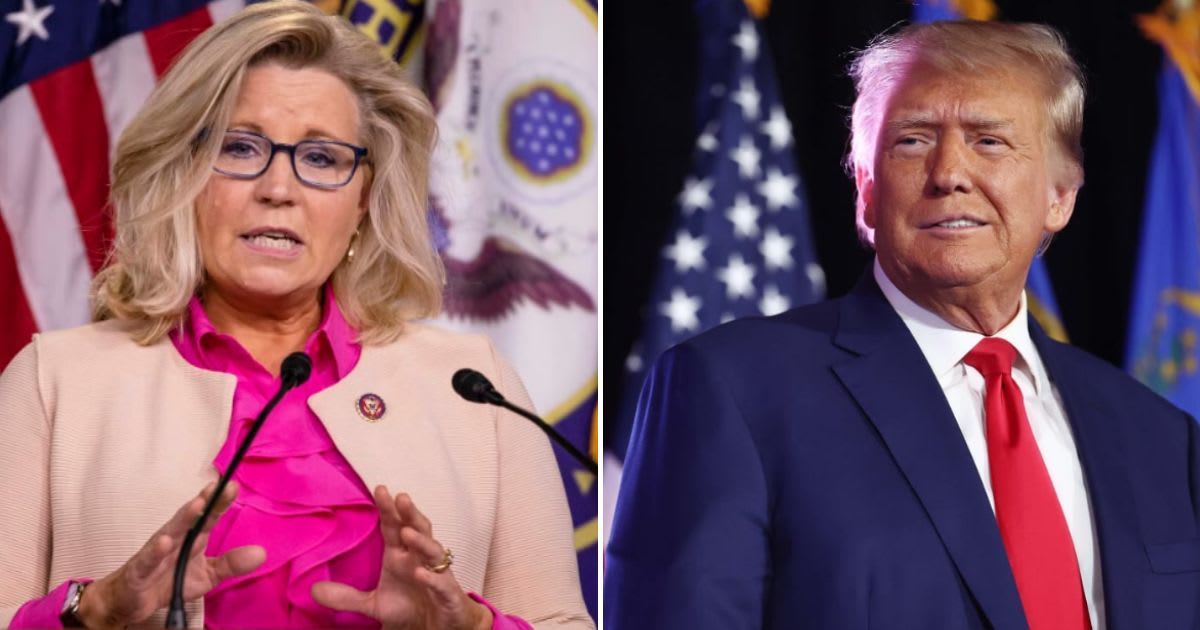 You Will Keep Losing Internet Slams Liz Cheney After She Warns