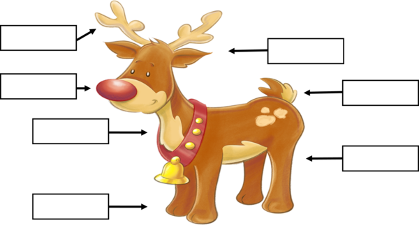 Label The Parts Of A Reindeer Grade 1 Free Printable Tests And