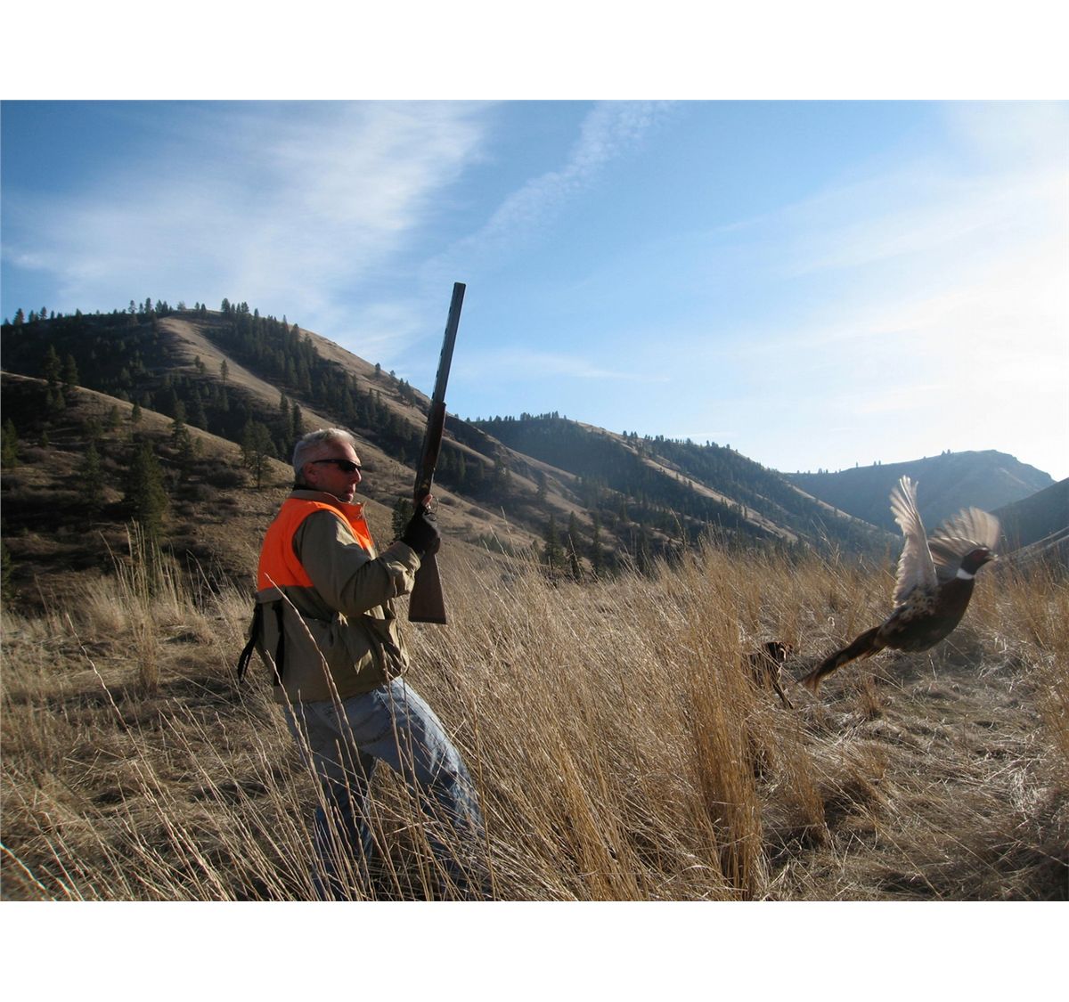 2 Day Upland Game Bird Hunt For Two Hunters In Idaho Dallas Safari Club