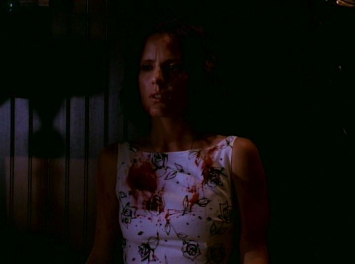 Buffy The Vampire Slayer Television Anyas Outfit Emma Caulfield