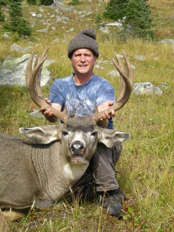 7 Day British Columbia Rocky Mountain Mule Deer Hunt For One Hunter