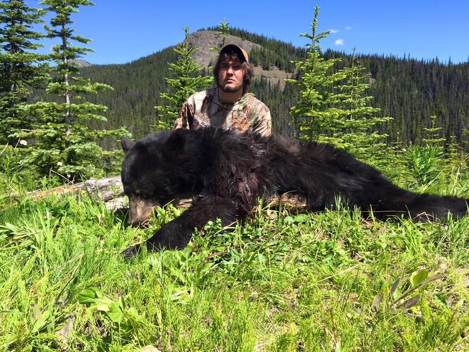 5 Day Black Bear Hunt For One Hunter In British Columbia Includes