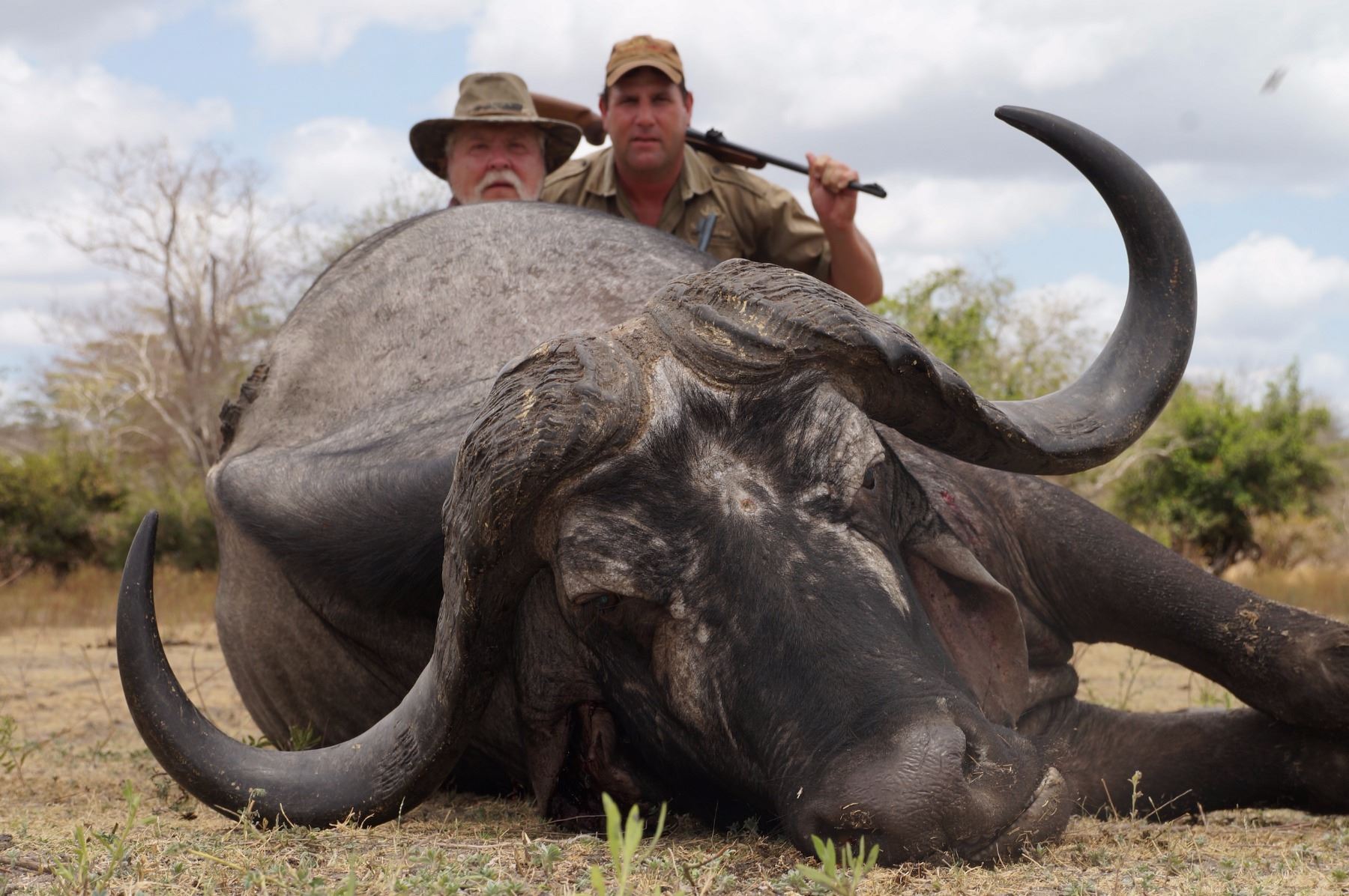 7 Day Cape Buffalo Hunt For One Hunter In Tanzania Includes Trophy