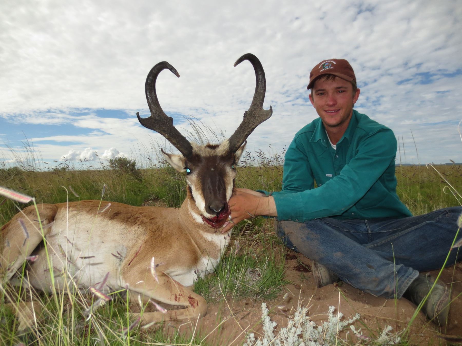 Arizona Game And Fish Commisioners Special Antelope Tag Arizona Game