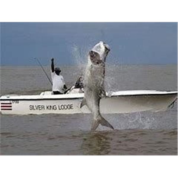 Costa Rica Silver King Lodge Tarpon Fishing