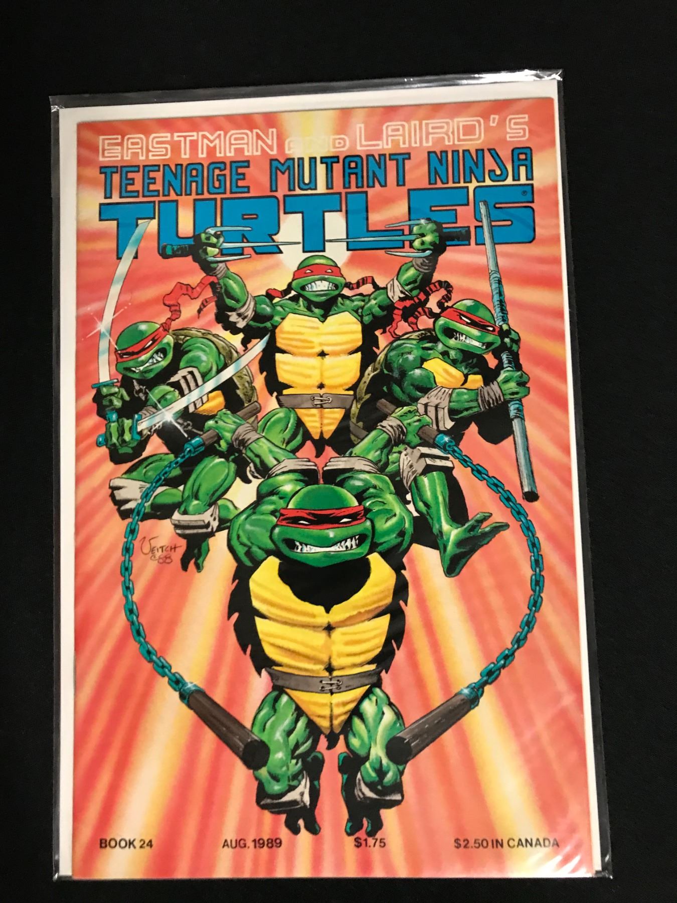 Eastman And Lairds Teenage Mutant Ninja Turtles Book 24