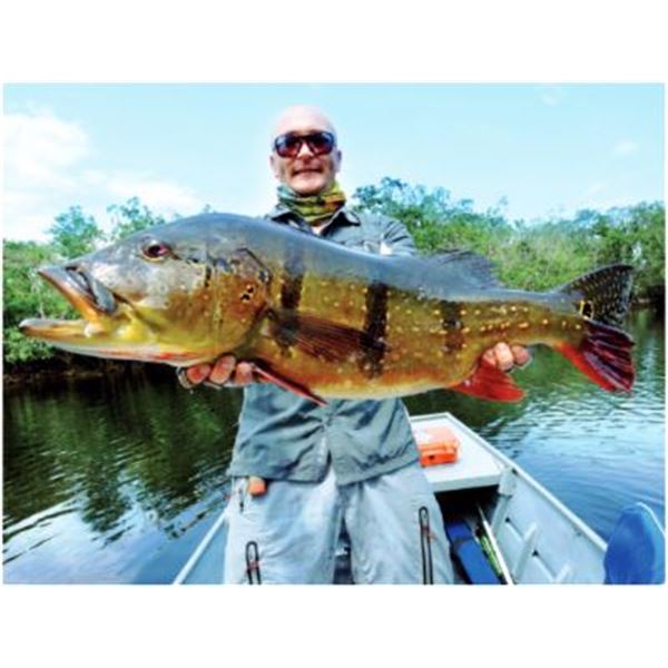 4 12 Day Brazil Amazon Peacock Bass Fishing Adventure For Two Anglers