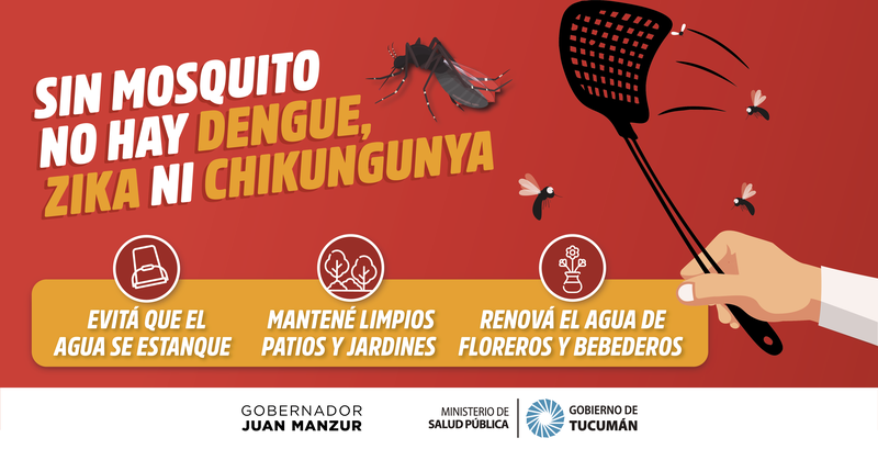 Consejos Para Prevenir El Dengue Zika Y Chikungunya Tucumán