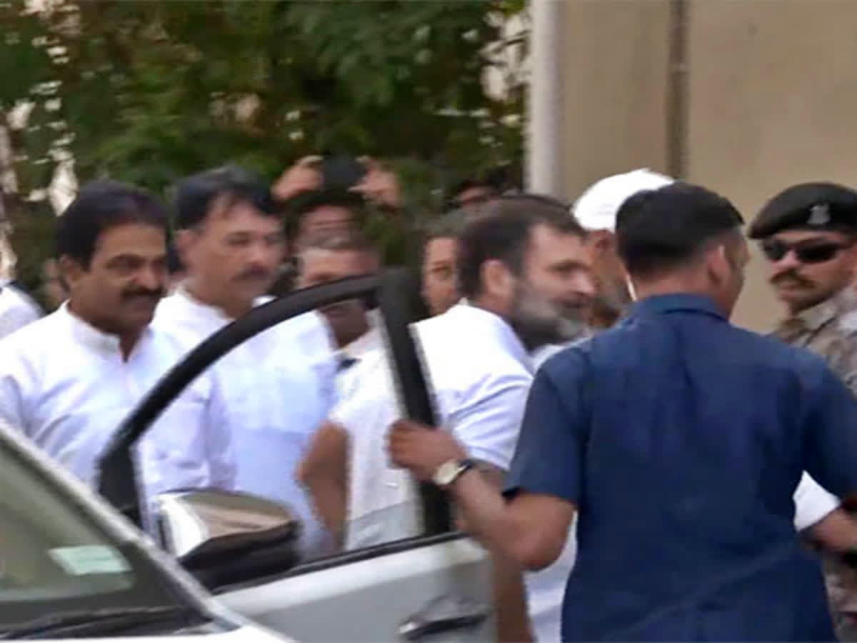 Rahul Gandhi Is The Congress Mp At The Risk Of Disqualification