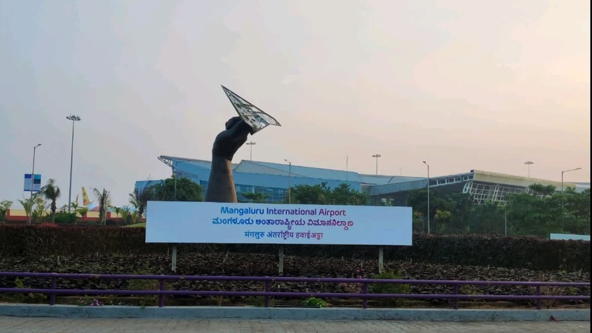 Panic At Mangalore Airport As Dubai Bound Indigo Flight Suffers Bird Hit