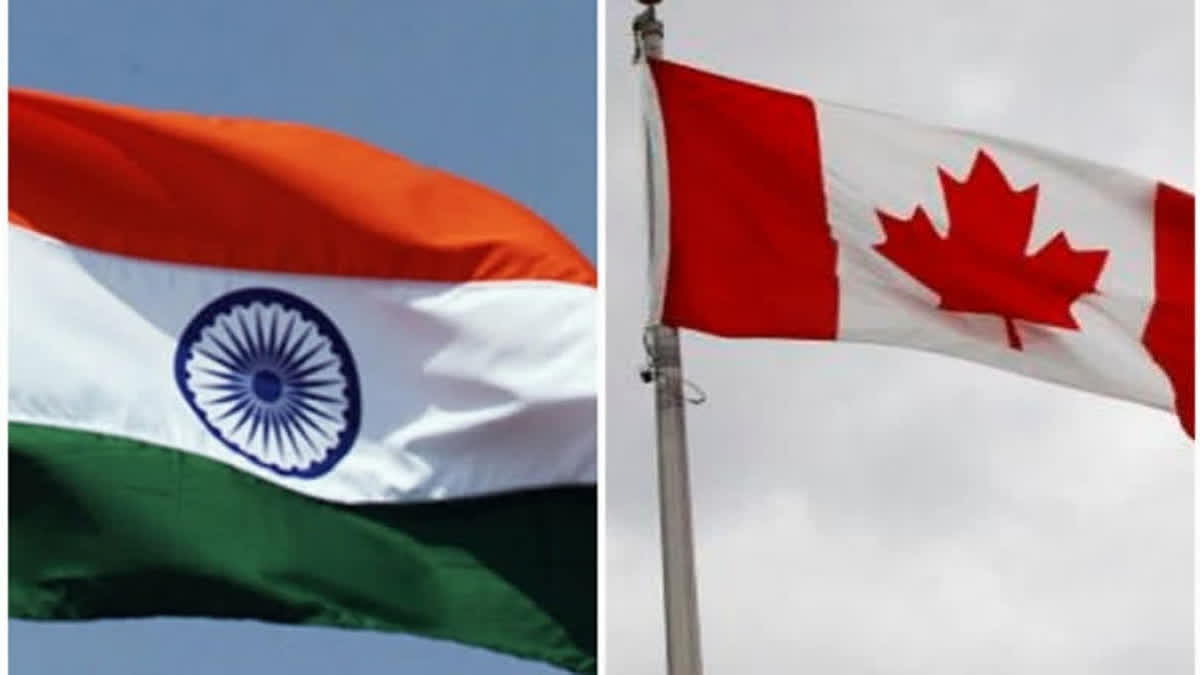 Diplomatic Strain India Suspends Visa Services For Canadians Amidst